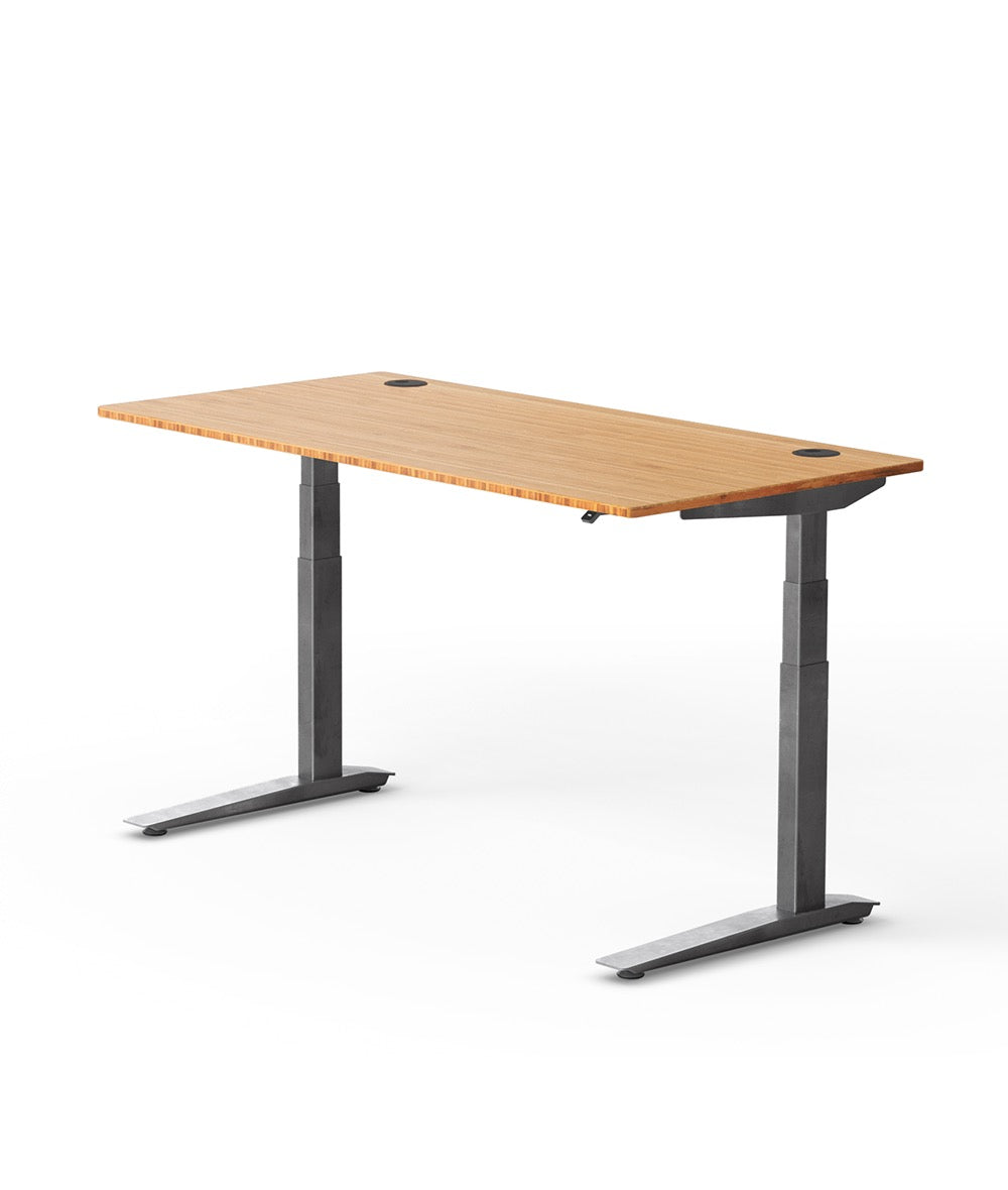 Bamboo sit stand desk costco store